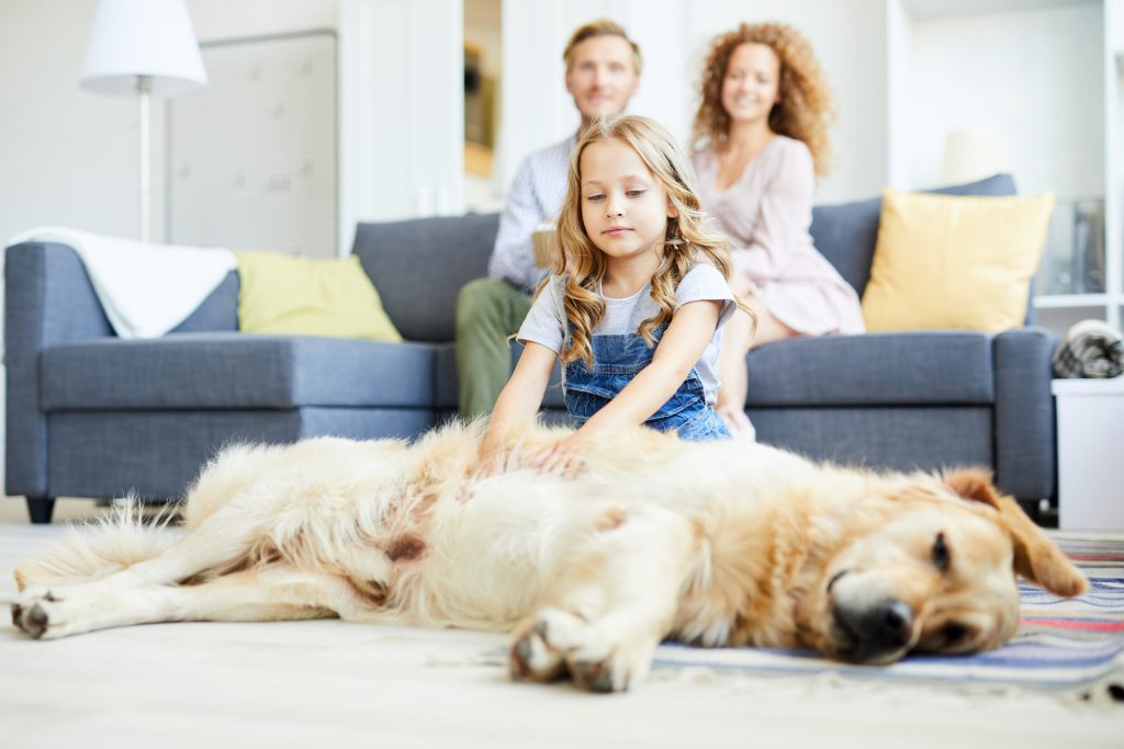 Introducing Your Pet to a New Home - Discovery Homes Blog